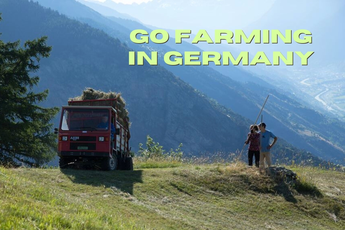 Permaculture Farm in Germany: Learn Sustainable Practices