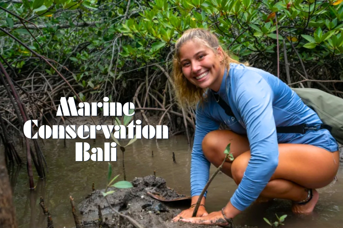 Bali Conservation Volunteering: Make a Impact on the Nusa Islands