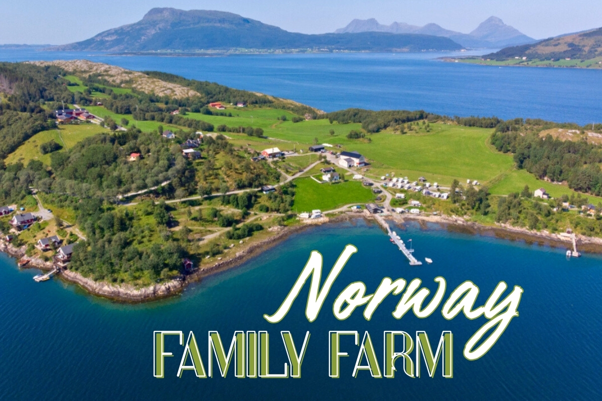 Work on a Farm in Norway: Live and Help on the Helgeland Coast