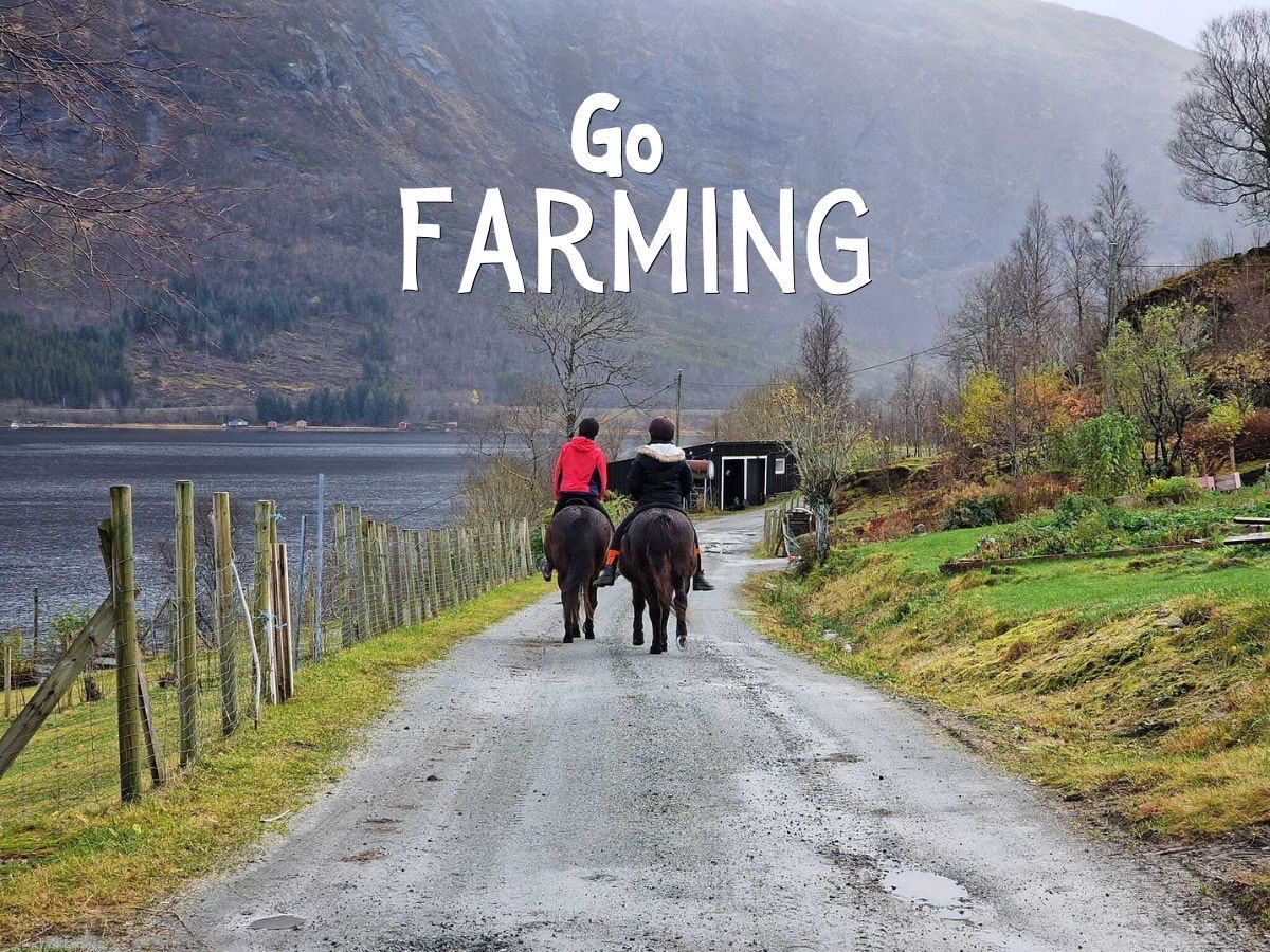 Volunteer on a Permaculture Farm: Live, Learn & Grow in Spain